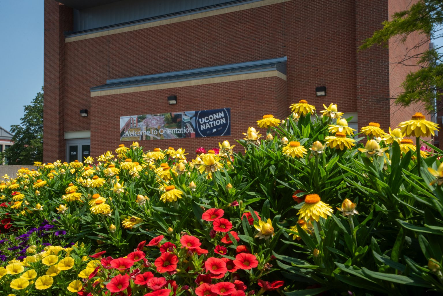 Landscape | Facilities Operations